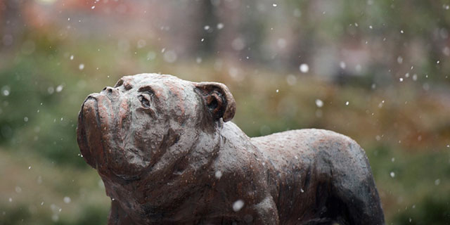 Which colleges and community colleges are closed Monday? Here’s what we ...